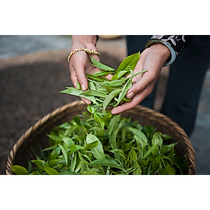 Palais des Thés - Rooibos des Vahinés - Premium Gourmet Vanilla and Almond Flavored Caffeine-Free Rooibos Tea - 20 Count Biodegradable Tea Bags Box