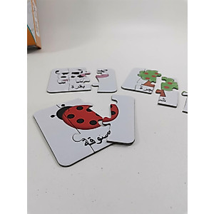 Learning Arabic Cards