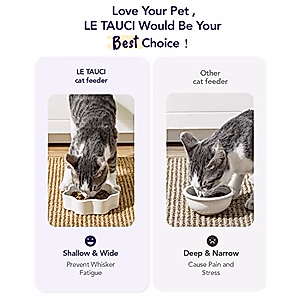 LE TAUCI Cat Bowls Ceramic, Small Cat Dishes, 8 Oz Shallow Cat Food Bowls for Indoor Cats, Relief Whisker Fatigue Cat Bowls, Cat Water Dish, Cute Paw Shaped Kitten Bowls, Flat Cat Plates