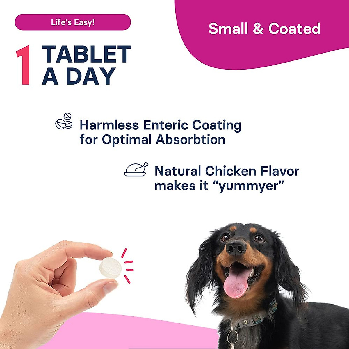 SAM-e Liver and Brain Health Supplement for Medium and Large Dogs - with S-aDENOSYLmethionine (Same), 60 Coated Tablets