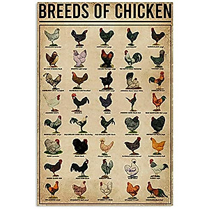 Breeds of Chickens Poster Vintage Metal Tin Signs Coffee Shop Rooster Iron Painting Retro Novelty Funny Bar Pub Restaurant Kitchen Farm Chicken Coop Wall Art Home Decor 8x12 Inch