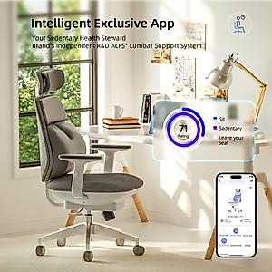 backrobo Smart Ergonomic Home Office Chair, Automatic Massage Lumbar Support and App-Controlled,3D Armrests, Executive Desk Chair with Adjustable Height for Home Office/Learning/Conference