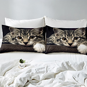 Feelyou Cats Comforter Set 3D Animals Pattern Bedding Set for Kids Boys Girls Pet Cat Kitten Decor Comforter Brown Grey Quilt Set Room 3Pcs Queen Size