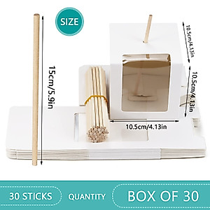 FIREBOOMOON 30 PCS White Kraft Candy Apple Boxes with Holes and Sticks,Caramel Candied Apple Cake Cookies Chocolate Gift Boxes with Clear Window for Wedding,Party,Baby Shower(4" x 4" x 4")