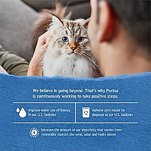 Purina Beyond Wild-Caught Tuna, Wild Alaskan Cod and Carrot Recipe In Wet Cat Food Gravy - (12) 3 oz. Cans