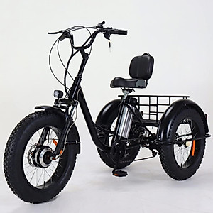 便利100 Outdoor 20'' Fat Tyre Electric Bicycle for Adult with 500W Motor, 48V Battery 3 Wheel E-Bike for Seniors Leisure Rides Front Rear Baskets, 7 Speed Farm Vegetables and Fruits Transport
