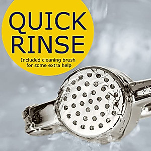 Premium Garlic Press, Professional Garlic Mincer, Easy to Squeeze and Clean, Rust Proof & Dishwasher Safe, Efficient Ginger Crusher- Imperial Silver