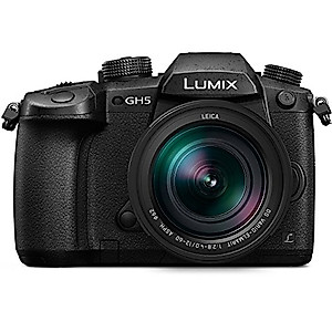 PANASONIC LUMIX GH5 Mirrorless Camera with 12-60mm Lens (DC-GH5LK), 2X 64GB Memory Cards, 2X Spare Battery, Professional Video LED Light, Accessory Bundle