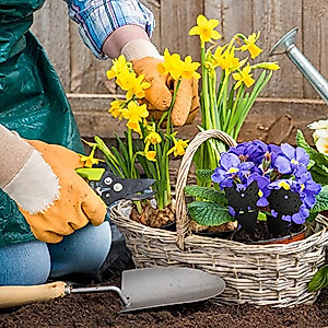 USKICH Sticky Traps Gnat Killer Fruit Fly Traps Non-Toxic and Odorless Fungus Gnat Traps Insect Traps Black Sticky Trap for Indoor and Outdoor Plants（48Pcs Black）