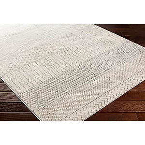 Livabliss Hana Modern Moroccan Area Rug,4'3" x 5'11",Silver Grey