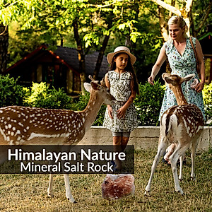 Himalayan Nature Animal Licking Pink Salt Rock Lick Deer| 5 Pound
