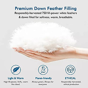 Dafinner Luxurious Queen Feathers Down Comforter - All Season Duvet Insert for Hotel Collection Bedding | Ultra-Soft Egyptian Cotton Fabric, Goose Feathers & Down Blend Filling(90x90, White)