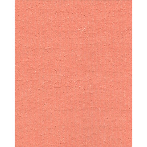 Trendy Tripper Swedish Dishcloths Reusable | Washable | Compostable | Made in Germany | Packaged USA | 6 Packs (6 DIFF Bright Colors)