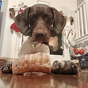 Green Butterfly Brands Dog Chews – Beef Trachea Dog Treat Chew Made in USA. Grass Fed Farm-Raised American Beef. Glucosamine Rich for Healthy Joints. All Natural Dental Chew (3" 16 OZ)