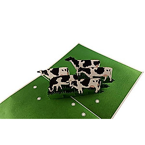 iGifts And Cards Dairy Cows 3D Pop Up Greeting Card - Cattle, Farm, Barn, Grass, Wow, Half-Fold, Happy Birthday, Friendship, Thank You, Father's & Mother's Day, All Occasions, Retirement, Welcome