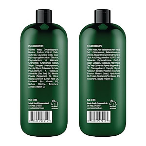 Botanic Hearth Vegan Collagen Infused Tea Tree Shampoo and Conditioner Set, 16 fl oz each - Sulfate Free, Paraben Free - For Itchy and Dry Scalp - Men and Women