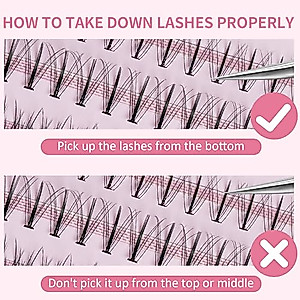 MLEN DIARY 296 Clusters Individual Lashes Wispy Manga Lashes Clusters Lashes Natural Look Cat Eye Lashes 5-12mm False Eyelashes Extension Faux Mink Fake Lash Anime Single Lashes Half Fluffy Eyelashes