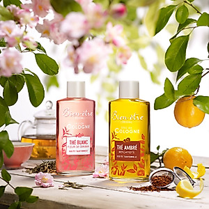 BIEN ETRE Original The Ambre BERGAMOTE