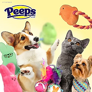 Peeps for Pets Plush Chick Rope Pull Toy for Dogs Squeaker Dog Toy, Yellow/Blue | Soft and Cute, Plush Squeaky Dog Chew Toy with Rope to Add to Dog Toy Bin 6 Inch