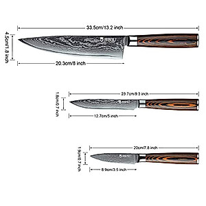 Jourmet 3PC Damascus Knife Set with Japanese VG10 Super Steel Core, Professional 67-layer Handmade PAKKA Wood Handle with S/S 430 Bolster