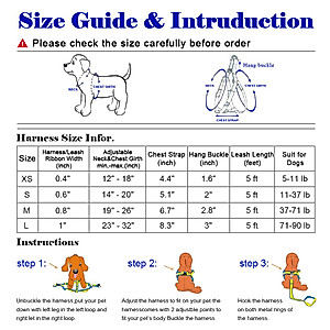 QQPETS Dog Harness Leash Set Adjustable Heavy Duty No Pull Halter Harnesses for Small Medium Large Breed Dogs Back Clip Anti-Twist Perfect for Walking (S(14"-20" Chest Girth), Space)