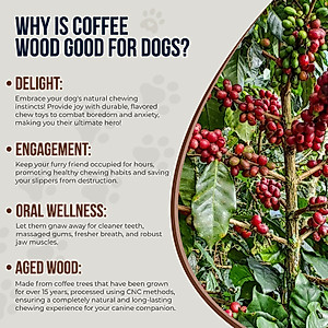 GOWGOW Wooden Chews for Dogs & Natural Dog Rope Toys, 2 Pack Size Small - 100% Natural Chews for Dogs Teething, Stress Relief, Dental Health, Organic Dog Toys