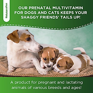 Dog Prenatal Vitamins | Pregnant Cat Supplies | Prenatal Vitamins for Dogs | Product for Pregnant Cat | Prenatal Dog Vitamins | Vitamins for Pregnant Dogs and Cats | Pregnant Dog Supplies | 2 oz