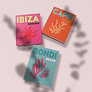 TwoDays Preppy Room Decor Aesthetic, Preppy Decorative Books, Coffee Table Books Decor, Faux Books for Decoration, Bookshelf Decor, Fake Books, Preppy Stuff, Preppy Things. (Set of 3)