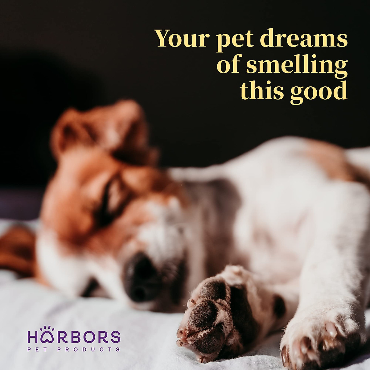 Harbor's Pet Cologne (Clean Cool Water)
