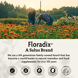 Floradix Floravital Liquid Iron & Vitamins Formula - Liquid Iron Supplement with B Complex Vitamins & Herbs for Energy Support - Vegan, Gluten-Free, Yeast- Free, Non-GMO - 17 oz