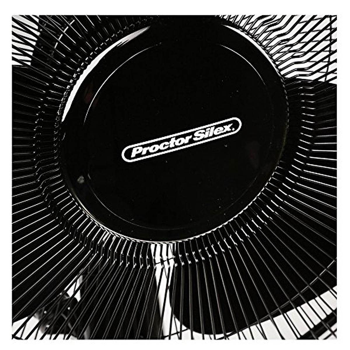 Proctor Silex Stand Fan, 16-Inch, Black