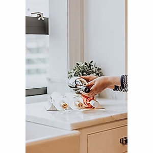 Winebars | The Tiny countertop Wine Rack That Also fits in The Refrigerator (Natural Silver)