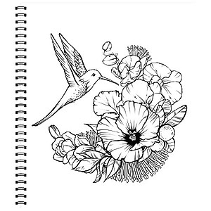 Color & Frame - Country Gardens (Adult Coloring Book)