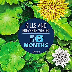 BioAdvanced Season Long Lawn Weed Killer + Preventer for Southern Lawns 10 LB Granules, 4,000 SQ FT