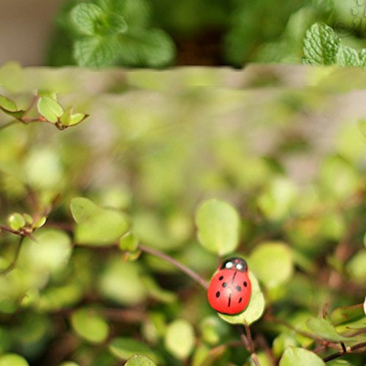 Alasida 60PCS Garden Ladybugs Miniature Plant Pots Bonsai Craft Ornament Decor with Self-adhesive Micro Landscape DIY Decoration