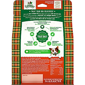 Aurora Pet Bundle (2) Pumpkin Spice Flavor Regular Size Dog Dental Treats (12-oz Bags) with AuroraPet Wipes