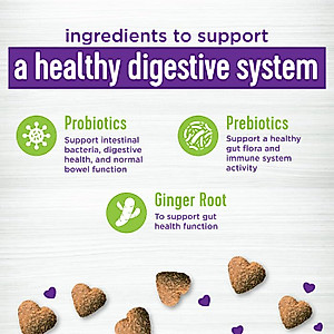 Wellness Pumpkin Patch Flavored Soft Chew Digestive Health Supplements for Dogs, 45 Count