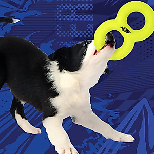 Nerf Dog Max Court Infinity Tug Dog Toy with Interactive Squeaker, Lightweight, Durable and Water Resistant, 8.7 Inches, For Medium/Large Breeds, Single Unit, Green/Blue