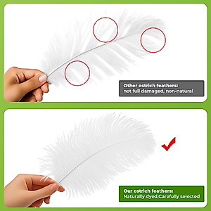 Piokio 20 pcs White Ostrich Feathers Plumes 10-12 inch(25-30 cm) Bulk for DIY Christmas Decorations, Wedding Party Centerpieces, Gatsby Decorations