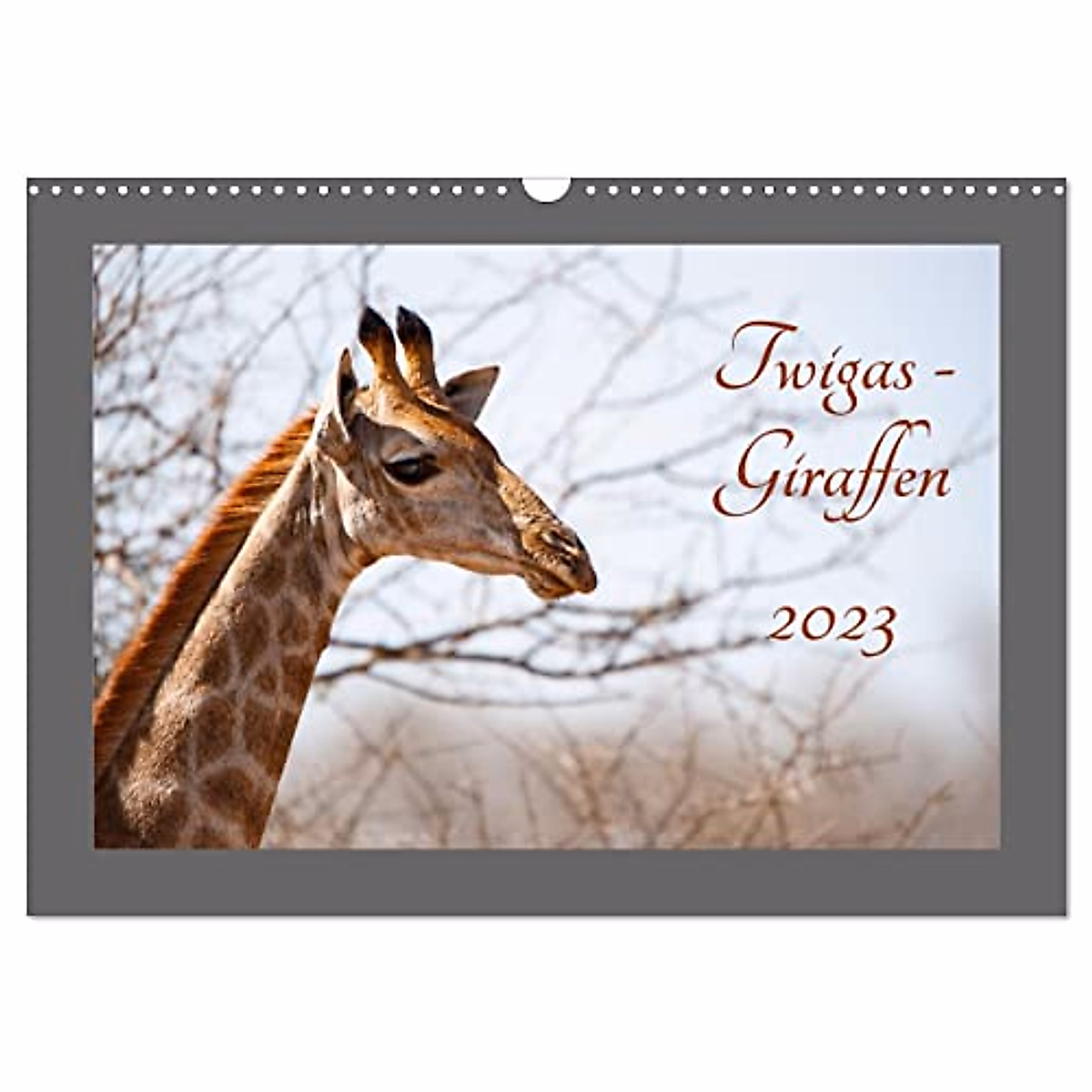 Twigas - Giraffen (Wandkalender 2023 DIN A3 quer), Calvendo 2023 monthly calendar