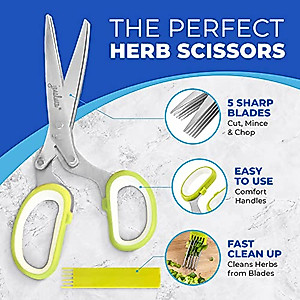 Jenaluca Herb Scissors with 5 Blades and Safety Cover - Cut, Chop & Mince Fresh Herbs & Leafy Greens - Stainless Steel Kitchen Shears with Cleaning Comb - Cool Kitchen Gadgets (Green)
