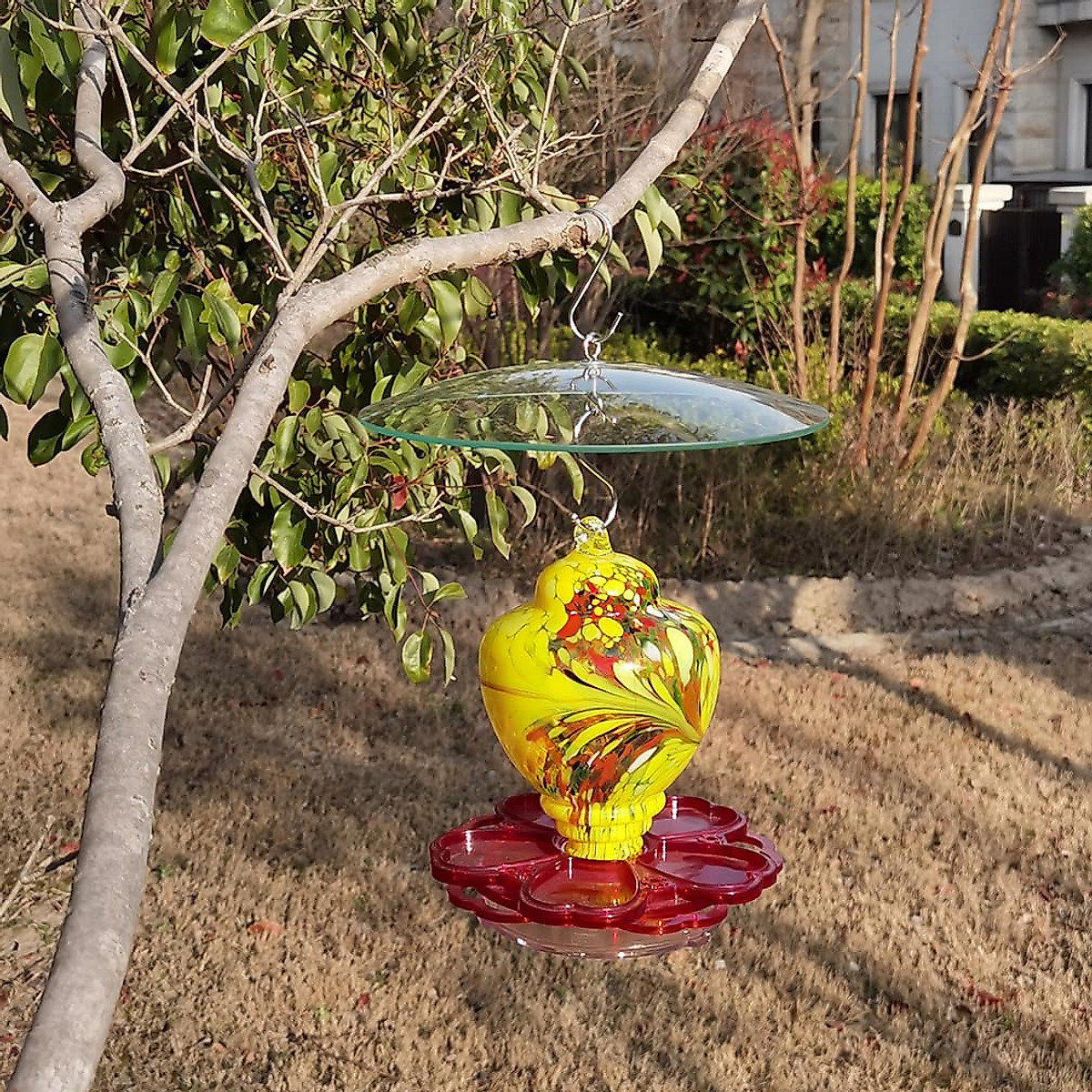 10" Glass Rain Cover for Wild Bird Feeder Outdoors - Weather Guard S Hook Hanging - Protective Dome Baffle - Clear (Dia. 25CM)