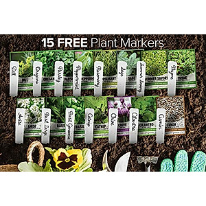 15 Herb Seeds For Planting Varieties Heirloom Non-GMO 5200+ Seeds Indoors, Hydroponics, Outdoors - Basil, Catnip, Chive, Cilantro, Oregano, Parsley, Peppermint, Rosemary and More By Gardeners Basics