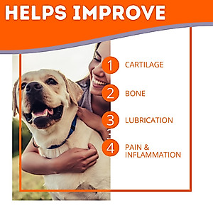 K9 Mobility – Dog Hip & Joint Supplement for Developing Strength, Function, & Relief – x60 Bacon Flavor Chew Tablets