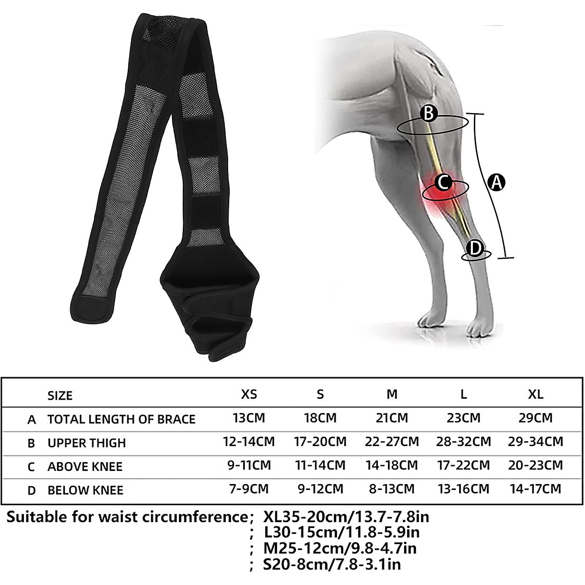 Dog Elbow Brace Protector Pads, Elbow Support Compression Wrap Knee Brace for Dogs Canine Elbow and Shoulder Support, Dysplasia, Arthritis, Elbow Calluses, Pressure Sores, Shoulder Dislocation(M)