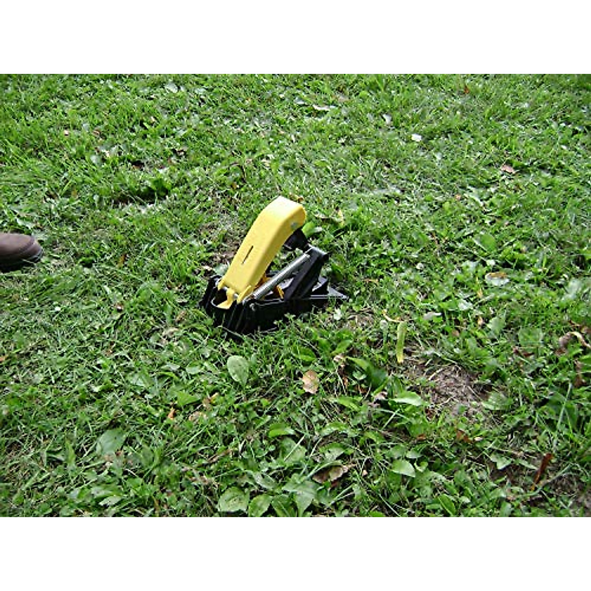 Tomcat 0363210 Mole Trap Innovative and Effective Design, Granules, Brown