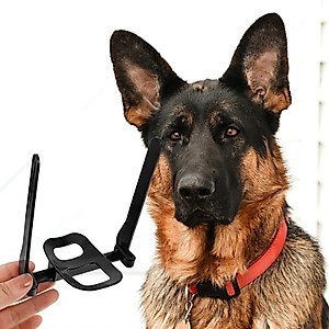 Angoily Dog Ear Posting Kit Doberman Ear Fixed Correction Vertical Holder Dog Ear Stand Support Tool Puppy Ear Support Tape Dog Ear Erector Pet Puppy Accessory