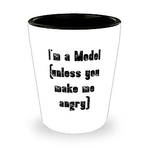 Unique Model Gifts, I'm a Model (unless you make me angry), Cool Shot Glass For Colleagues, Ceramic Cup From Boss, Model car, Model airplane, Model train, Model rocket, Diecast model, Plastic model