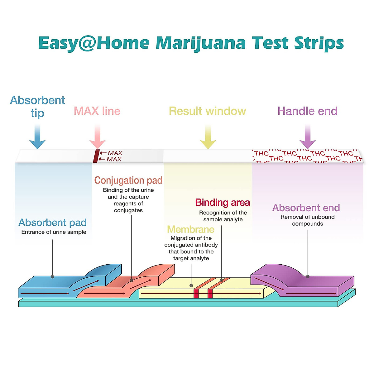 Easy@Home THC Test Strips: Urine Test Kit - Detect Metabolites in Urine with Cutoff Level 50ng/mL- 10 Pack ESTH-115