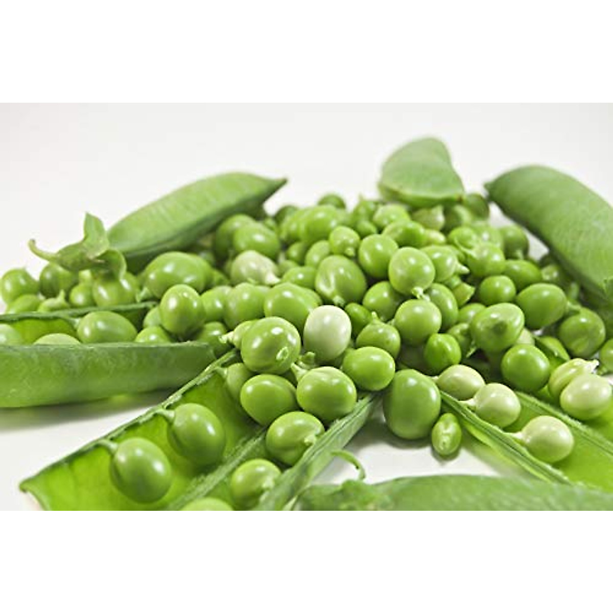 "Early Frosty" Garden Pea Seeds for Planting, 50+ Heirloom Seeds Per Packet, (Isla's Garden Seeds), Non GMO Seeds, Botanical Name: Pisum sativum, 90% Germination Rate